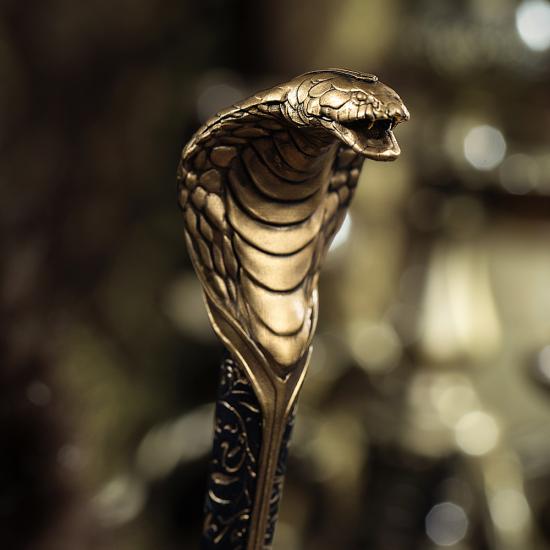 Snake Stick(ROT180)of Victory,Other items